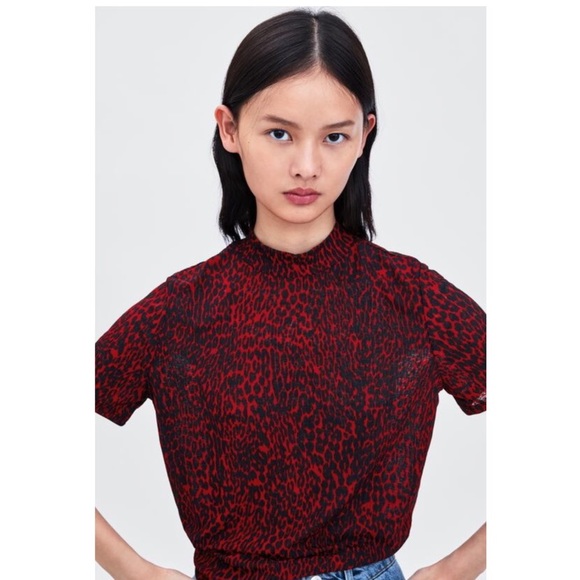Zara | Tops | Nwt Zara Cheetah Texture Top | Poshmark